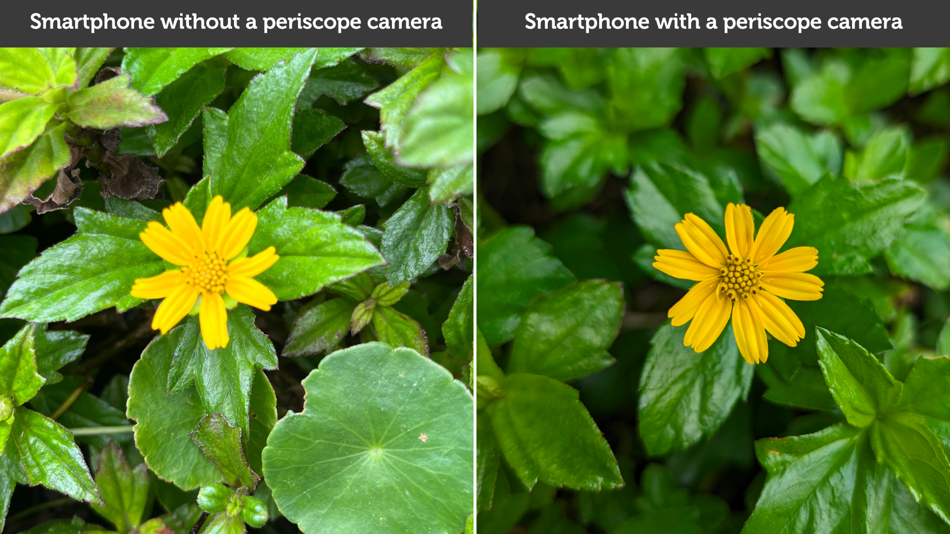 All you need to know about periscope lenses - Singtel